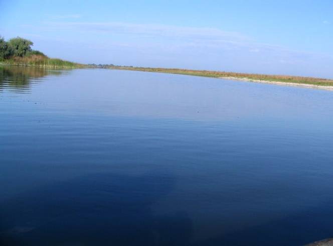 Flora din Delta Dunarii in imagini - recunoasterea Deltei Dunarii ca ...